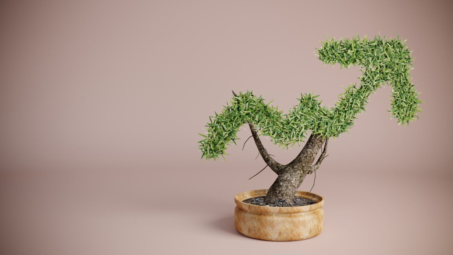 What Is a Growth Savings Account? | SoFi