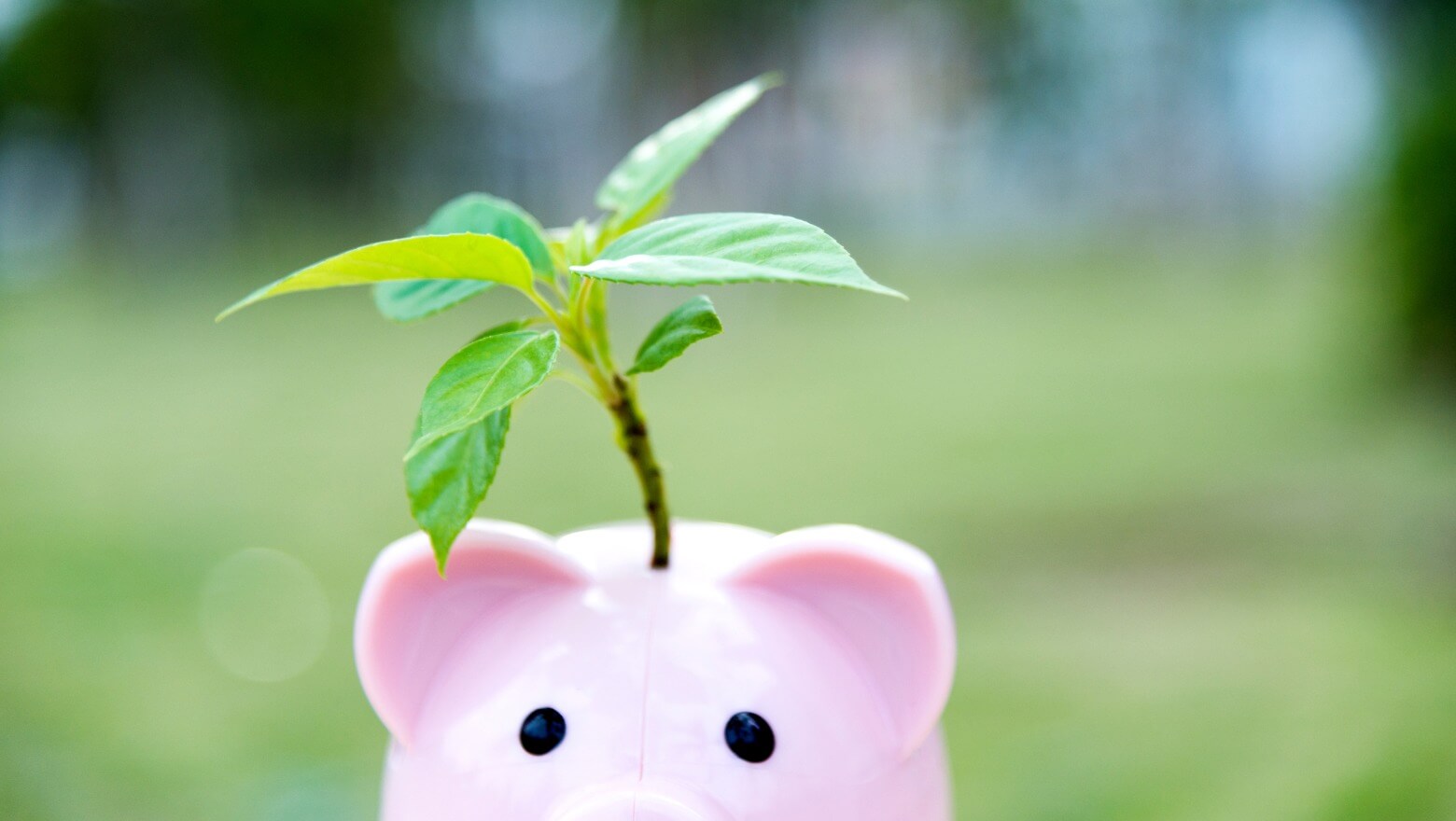 What Are Green Banks? | SoFi