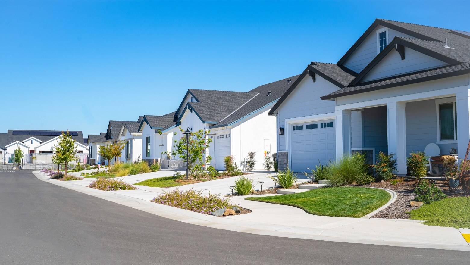 What Is a Freehold Estate? | SoFi