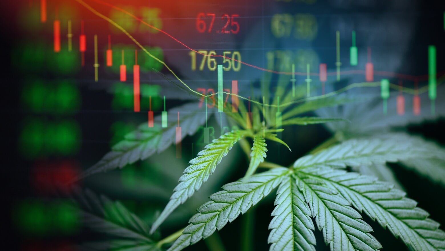 Basics of Cannabis ETFs | SoFi
