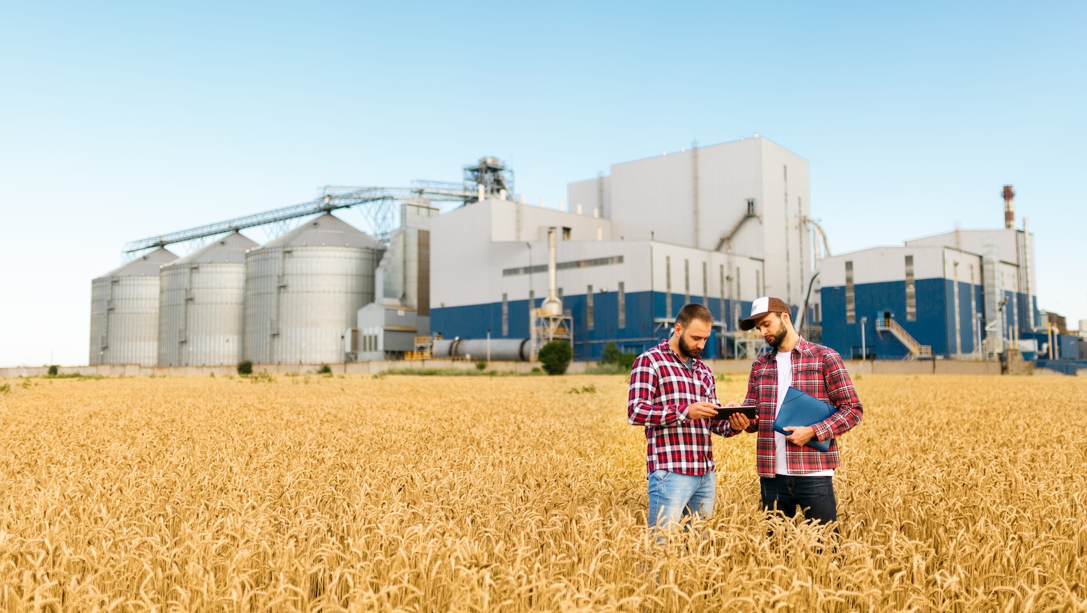 Guide to Agricultural and Farm Business Loans | SoFi